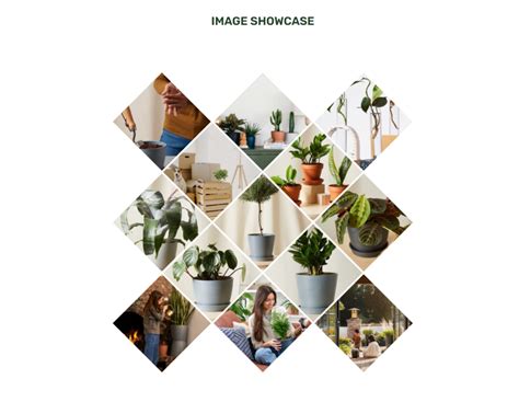 Awesome Image Gallery In Elementor In A Diamond Shape