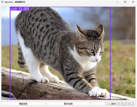 目标检测：yolov8 ultralytics 训练自己的数据集，新手小白也能学会训练模型，一看就会 yolov8训练自己的vocdevkit