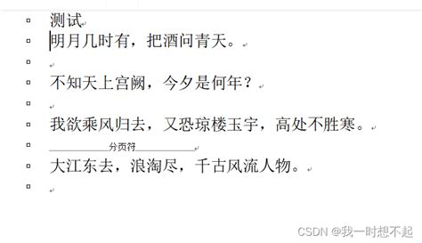 在poi tl的区块对中实现用布尔值插入word分页符的一种方法 poi tl 区块对 csdn博客