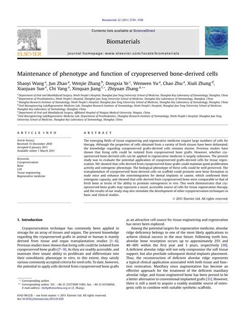 Pdf Maintenance Of Phenotype And Function Of Cryopreserved Bone