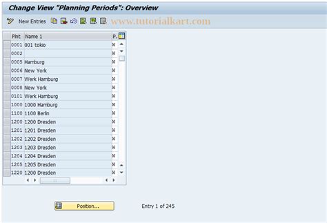 OSPD SAP Tcode Customizing Planning Periodicity