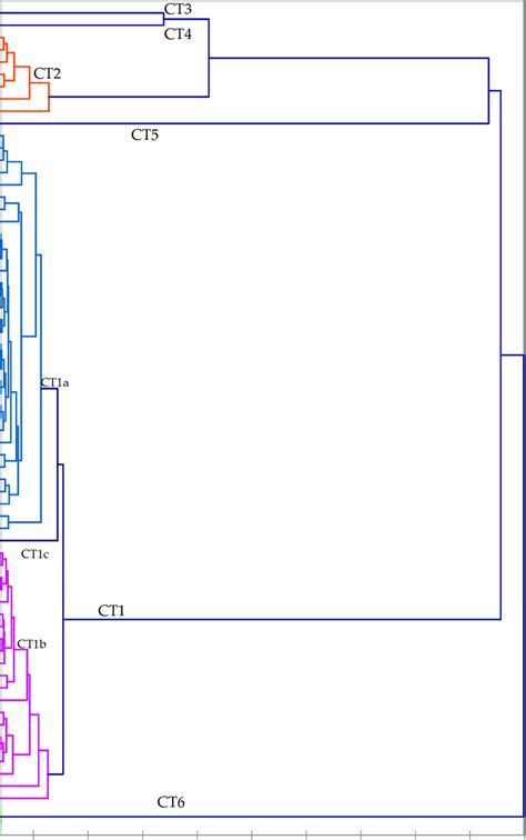 dendrogram obtained from the agglomerative hierarchical cluster