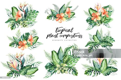 손으로 그린 수채화 열 대 꽃 꽃다발 구성 이국적인 야자수 잎 정글 나무 브라질 트로픽 식물학 요소와 꽃 직물 디자인에 대 한 완벽 한입니다 알로하 컬렉션 0명에 대한 스톡