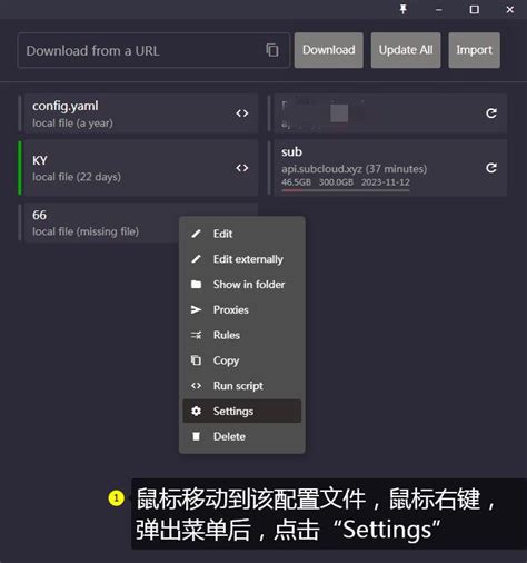 如何显示 clash for windows 剩余流量、总流量和剩余日期！？ james daily life