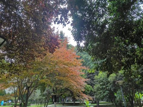 交大学子镜头下的校园秋色 西安交通大学新闻网