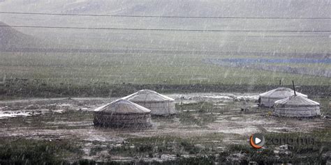 Хүчтэй аадар борооны улмаас 198 бог мал үерт урсжээ