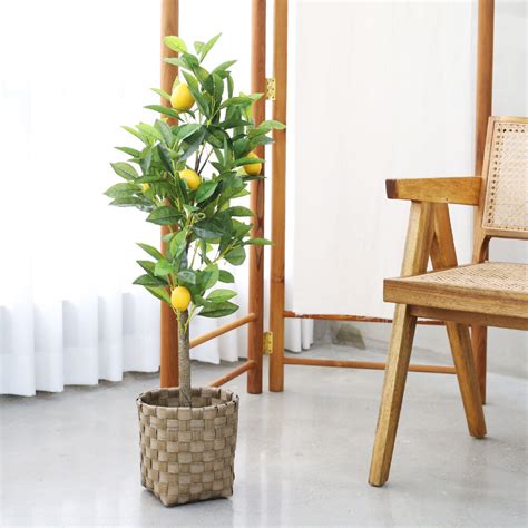 조화나무 레몬나무 화분세트 고퀄리티 인조나무 감도 깊은 취향 셀렉트샵 29cm