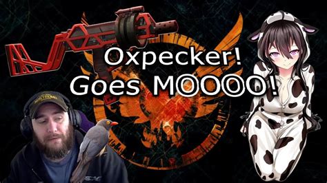 Oxpecker Y6s3 Pts Division 2 Youtube