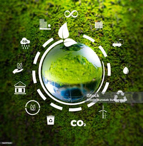 순 제로 배출 목표를 위한 자연 환경 및 탄소 중립 개념 날씨 중립 장기 전략 Green Net Zero의 Target