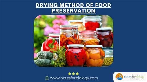 Drying Method Of Food Preservation Best Biology Notes