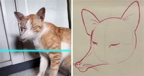 17 Funny Illustrations Of Cats And Dogs After They Were Captured With