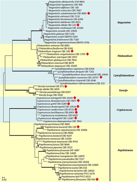 Cryptococcusits Atlas Of Clinical Fungi