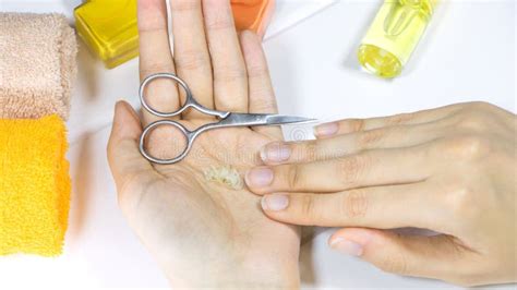 Manicure A Woman Holds A Cut Off Nails In Her Hand Cut Your