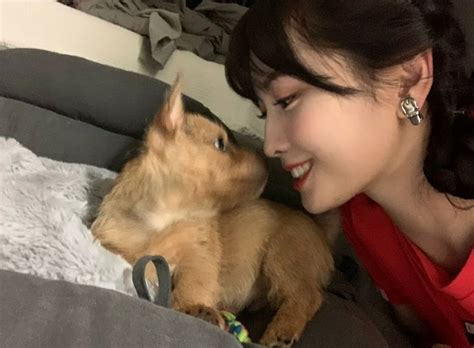 Here Are Twice Momos Most Adorable Photos With Her Pet Dogs Boo And