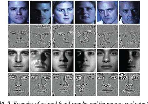 figure 2 from face template protection using deep ldpc codes learning