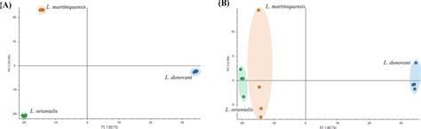 Two Dimensional Principal Component Analysis 2d Pca Of The Protein