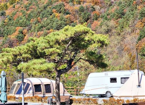 시원한 여름·진한 가을·하얀 겨울잊지 못할 태백 캠핑의 맛 나무뉴스