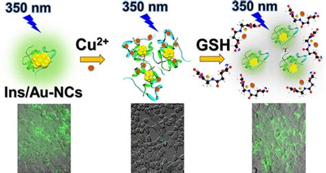 Bright Green Light Emitting Gold Nanoclusters Confined In Insulin As