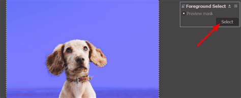 How To Remove The Background From An Image In GIMP