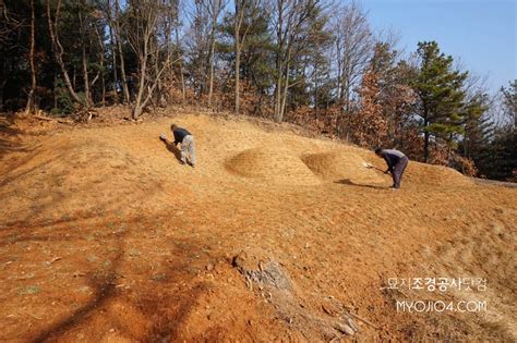 경기도 파주시 광탄면 개인 선산에 산소묘지를 조성한 후 보기좋게 사초작업잔디공사을 마무리 한 모습입니다 시공사례 묘지조경공사닷컴 벽제묘지 용미리묘지 전문