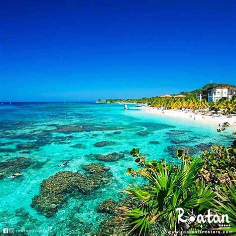 Roatan White Sand And Turquoise Water Beaches Roatan Western