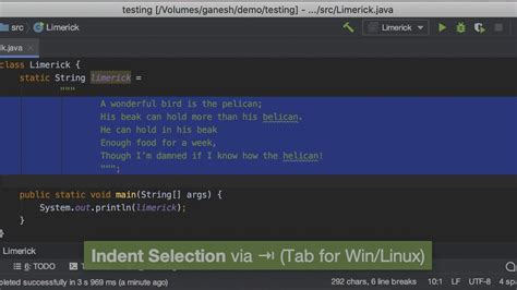 IntelliJ IDEA Tips Tricks Indent Or Unindent Lines Selection Easily YouTube