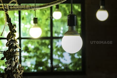 담쟁이가 보이는 창문배경에 빛나는 인테리어 전구 클로즈업 Led 인테리어 전구 유토이미지 상세페이지 베이직샵 사진 20606510