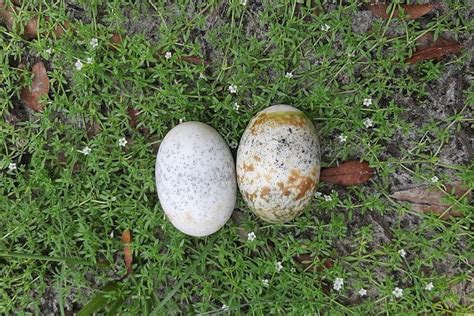 Finance News Latest Financial News Finance News Today In Bangladesh