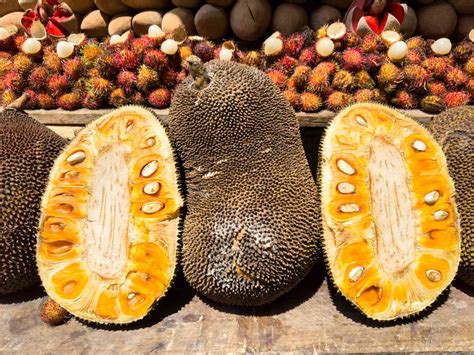 Jackfruit Protein