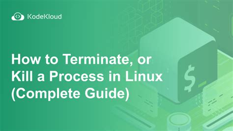 How To Terminate Or Kill A Process In Linux Complete Guide