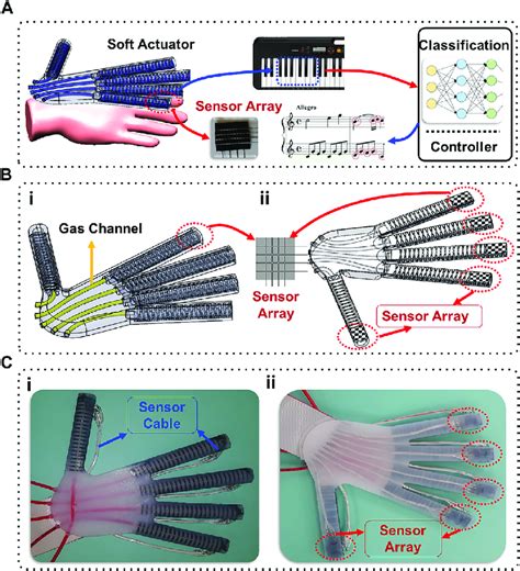 A Soft Actuator With Sensor Arrays B Cad Model For The New