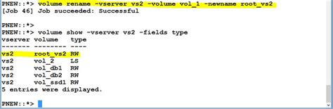 Remote Infrastructure Management Ontap 9 1 Svm Root Volume Protection