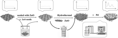 Synthesis Scheme Of Pd Zno Cc Electrode Download Scientific Diagram