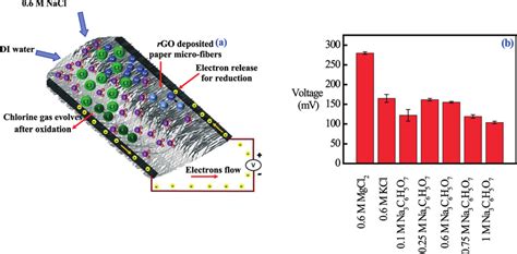 Schematic Illustration Of The Mechanism For Voltage Generation With Download Scientific Diagram