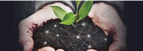 Sherry Mosleh On Linkedin Irrigation Iot Wireless Humidity Water Technology