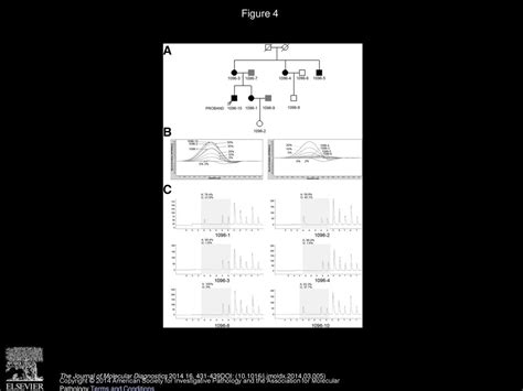 Pyrosequencing Is An Accurate And Reliable Method For The Analysis Of