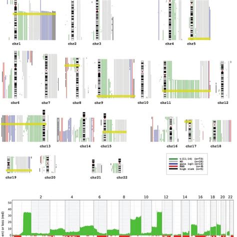 overview of results from genome wide copy number array analysis in al