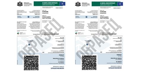 Bulgarias Health Minister Approves Form For Covid 19 Booster Dose