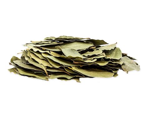Turkish Bay Leaves Etsy