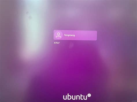 使用u盘安装linux系统 ubuntu20 4 csdn博客