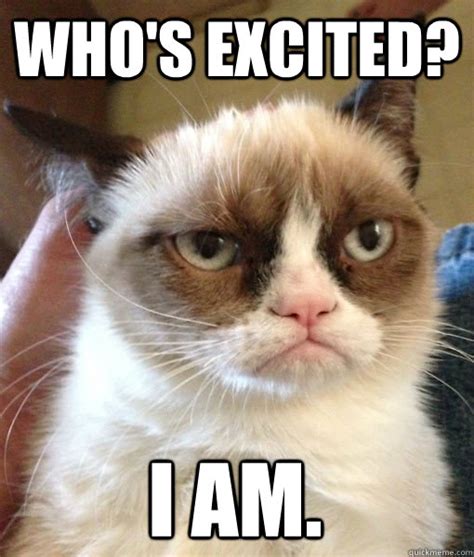 50 Best Im So Excited Memes That Shows Our Real Excitement
