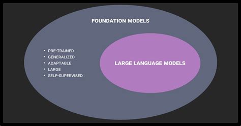 Foundation Model Vs Llm Key Differences Explained In 2025 Label Your