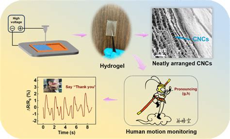 Ultrastretchable And Highly Sensitive Hydrogel Strain Sensors By