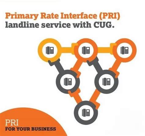 Primary Rate Interface Service At Best Price In Chandigarh By Speed Digital ID 23211101348