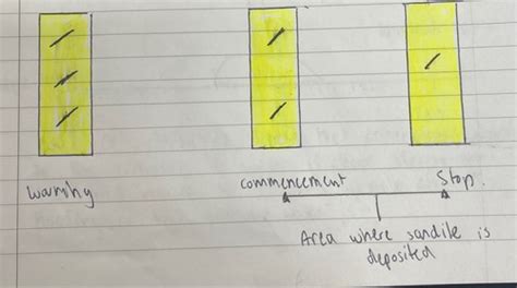 module 4 quiz questions flashcards quizlet