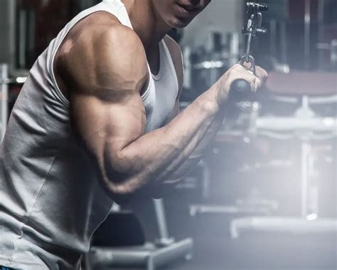 The 7 Tricep Pushdown Alternatives [videos Included ]