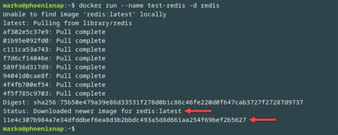 How To Deploy And Run Redis In Docker