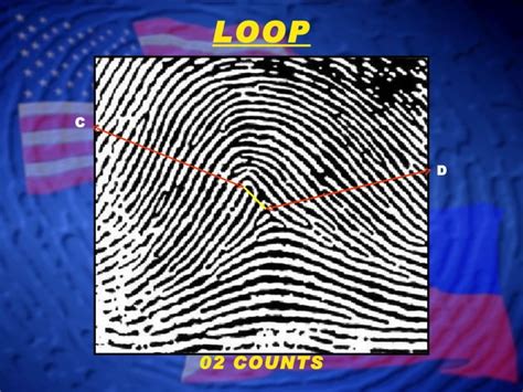Fingerprint Classification Slide 1 Ppt Science