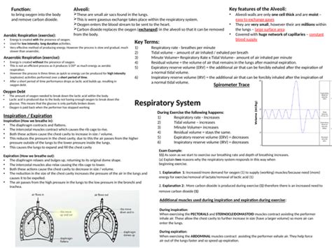 Aqa Knowledge Organisers For Gcse Pe Teaching Resources
