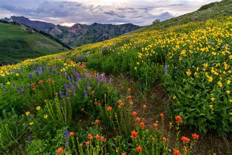 Famous Nature Photographs Top 100 Of The Most Famous Photos In
